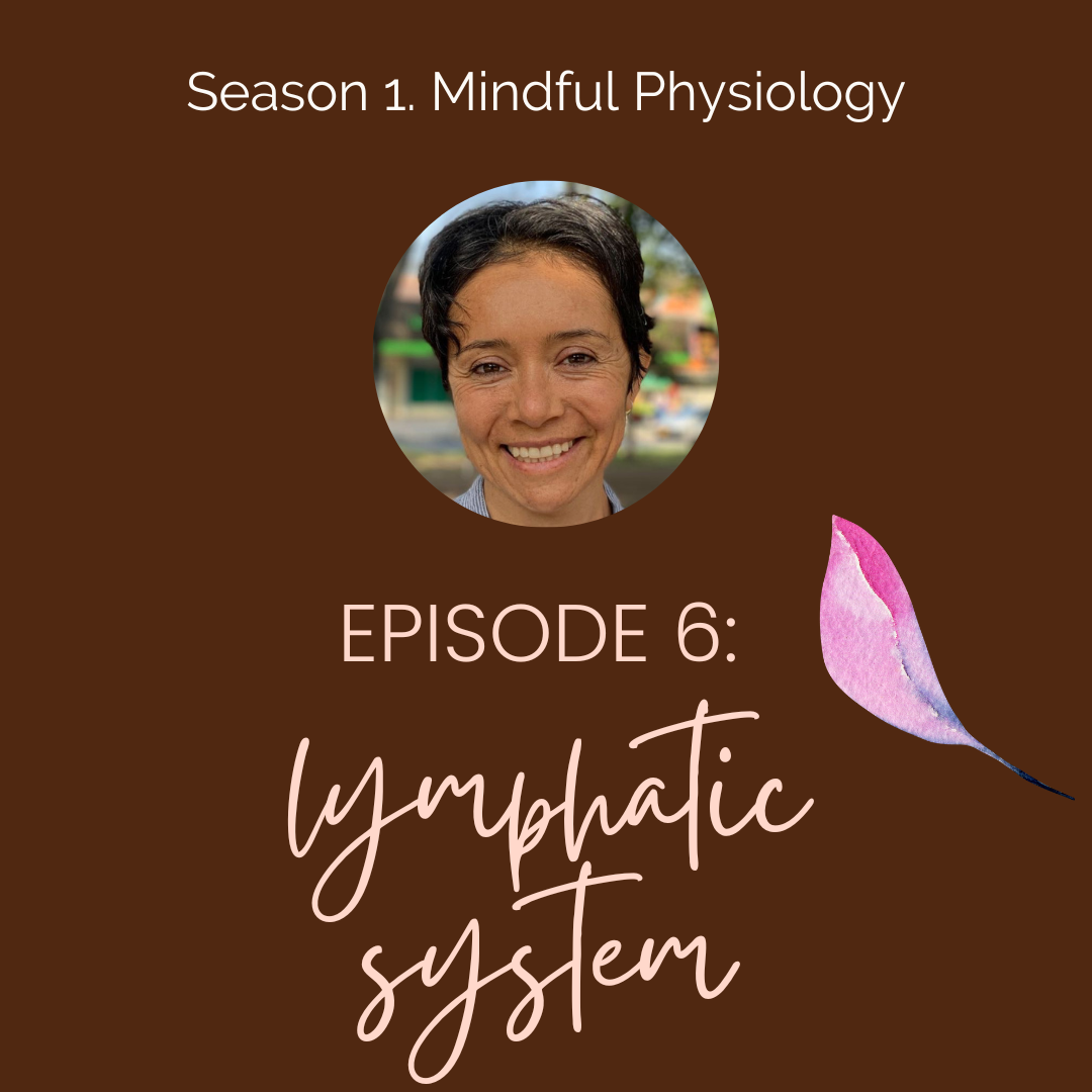 SEASON 1. Mindful Physiology EP. 6 LYMPHATIC SYSTEM with Awareness ...